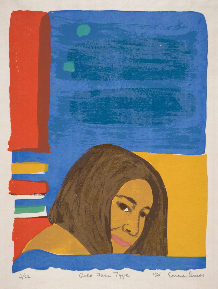 Emma Amos | Amon Carter Museum of American Art