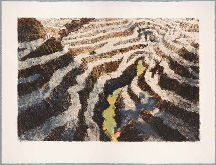 Chester Arnold | Amon Carter Museum of American Art