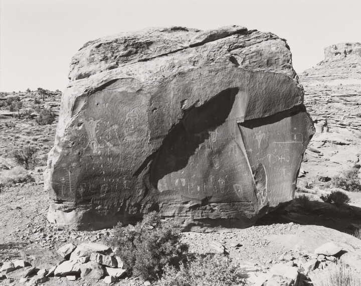 Rick Dingus | Amon Carter Museum of American Art