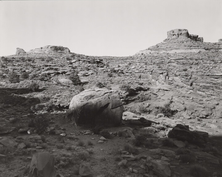 Rick Dingus | Amon Carter Museum of American Art