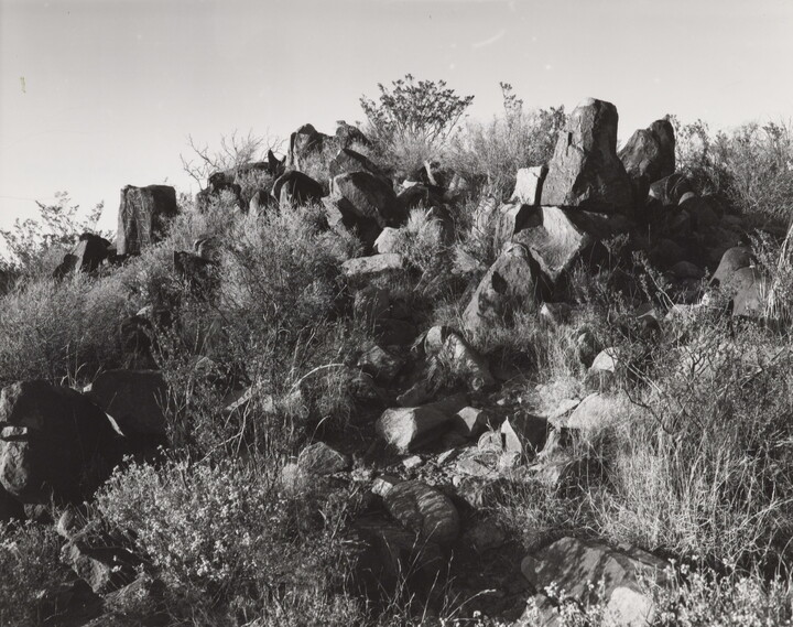 Rick Dingus | Amon Carter Museum of American Art