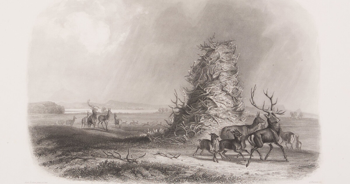 The Elkhorn Pyramid on the Upper Missouri. | Amon Carter Museum of ...