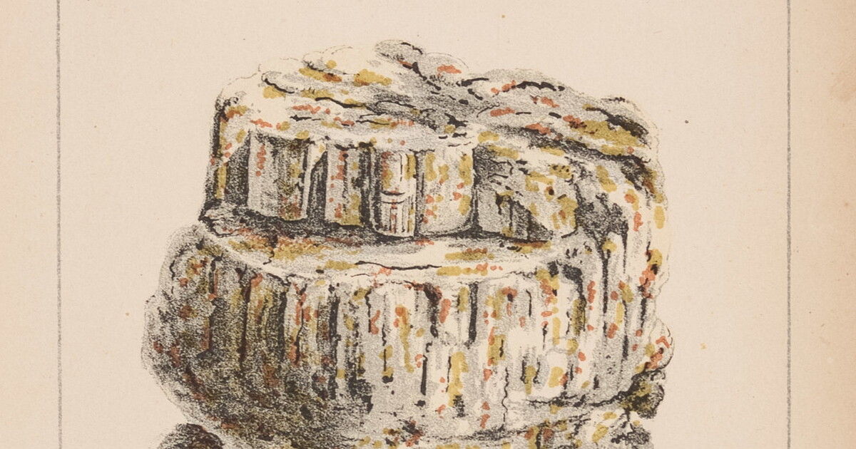 Elevation and Cross Section of a Petrified Stump of a Tree, Found ...