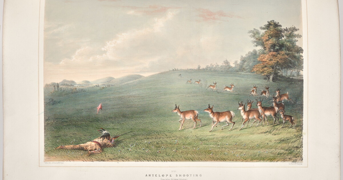 Antelope Shooting | Amon Carter Museum of American Art