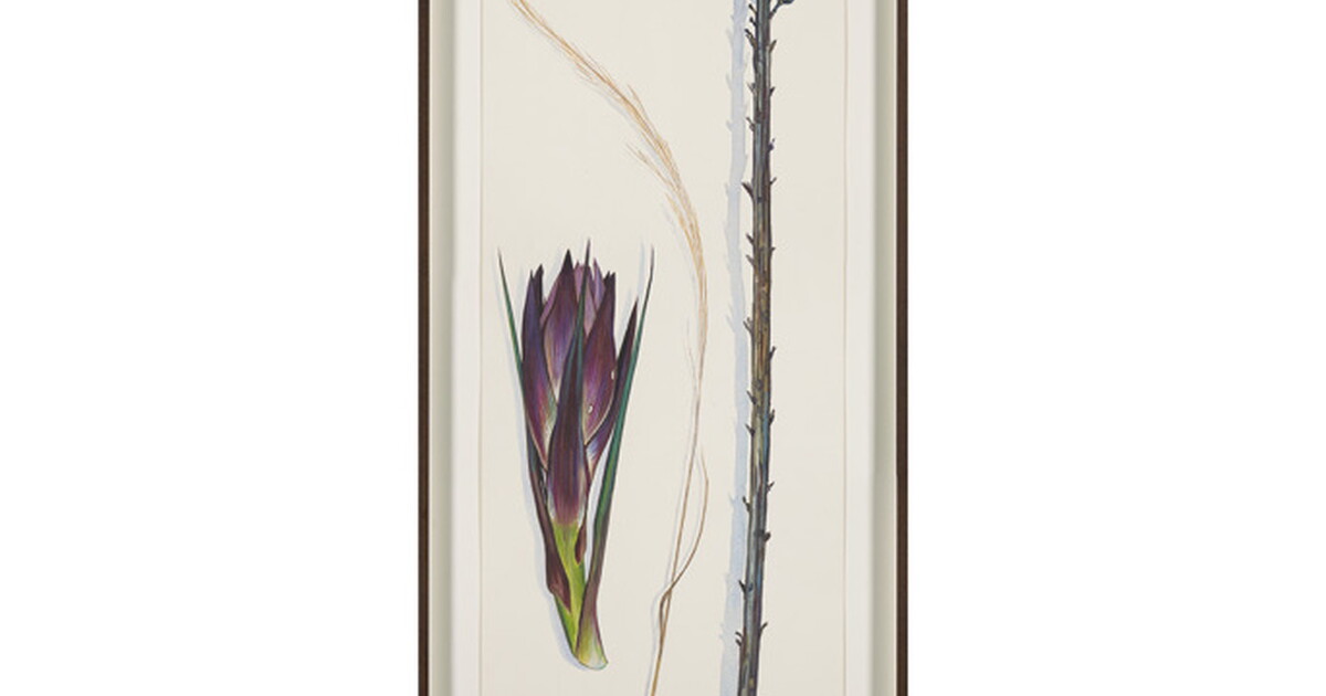 Lechuguilla stalk and Yucca flower, Trans-Pecos, West Texas, March ...