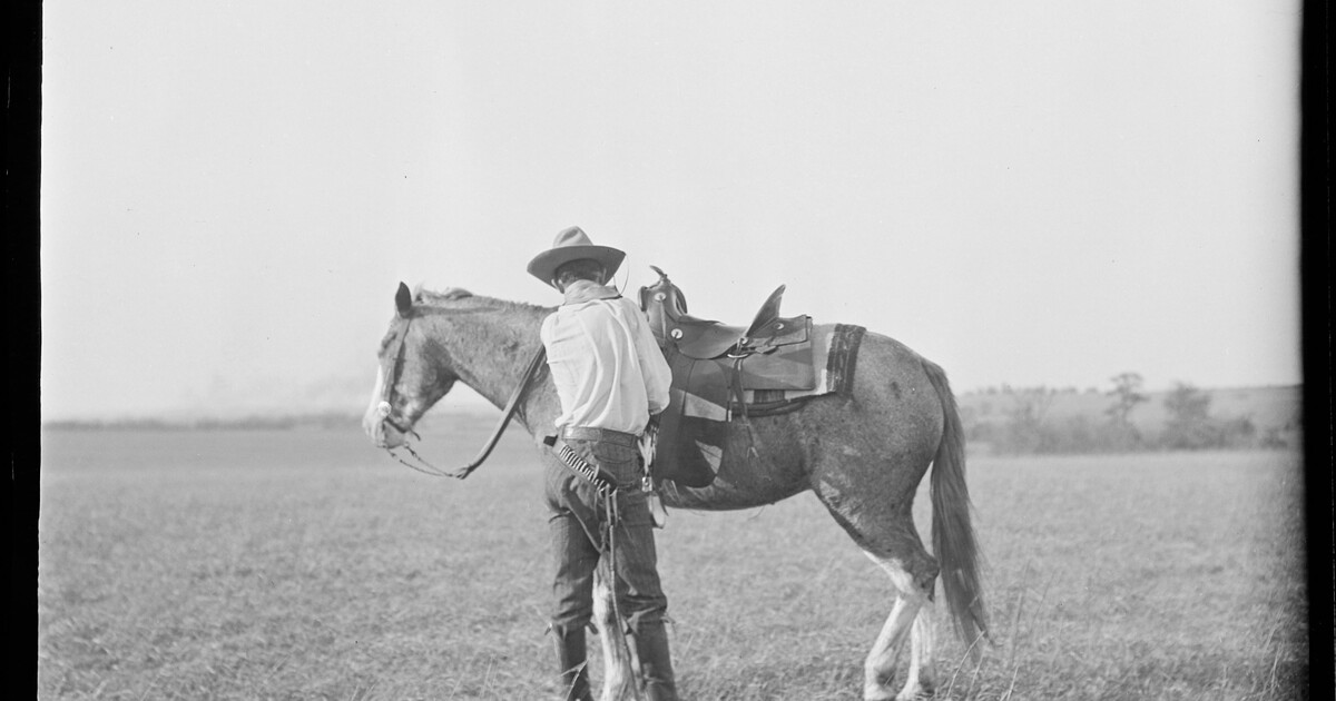 One of the Bar Diamond cowboys tightening up the cinch of his saddle ...