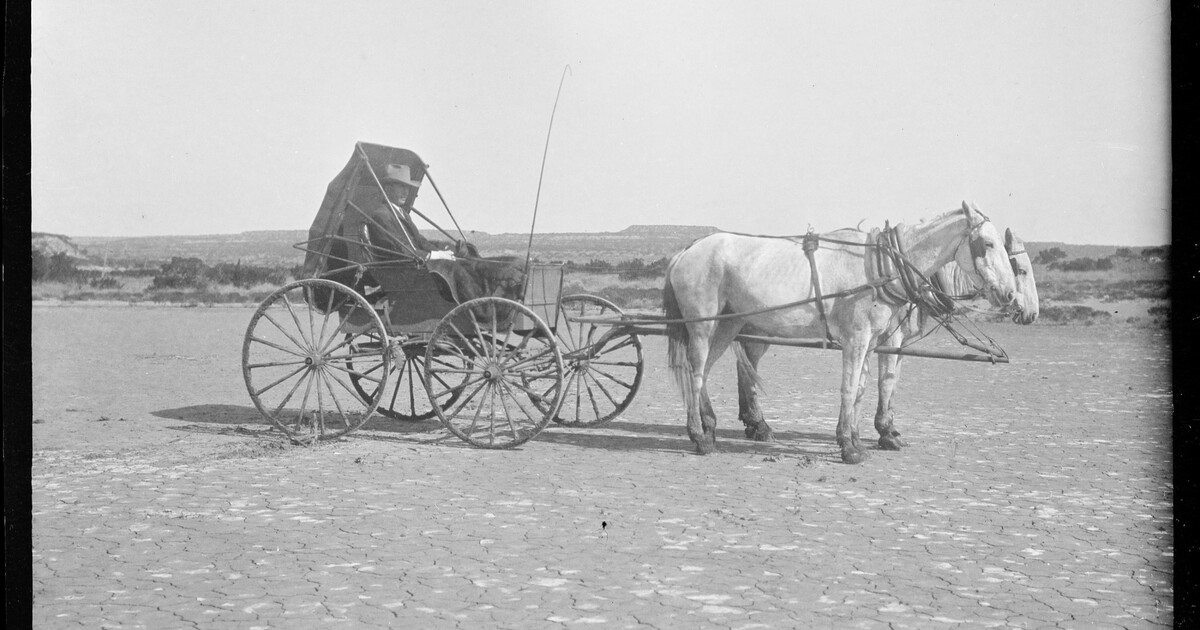 A typical ranch rig in use at that time, complete with buggy whip. ED ...