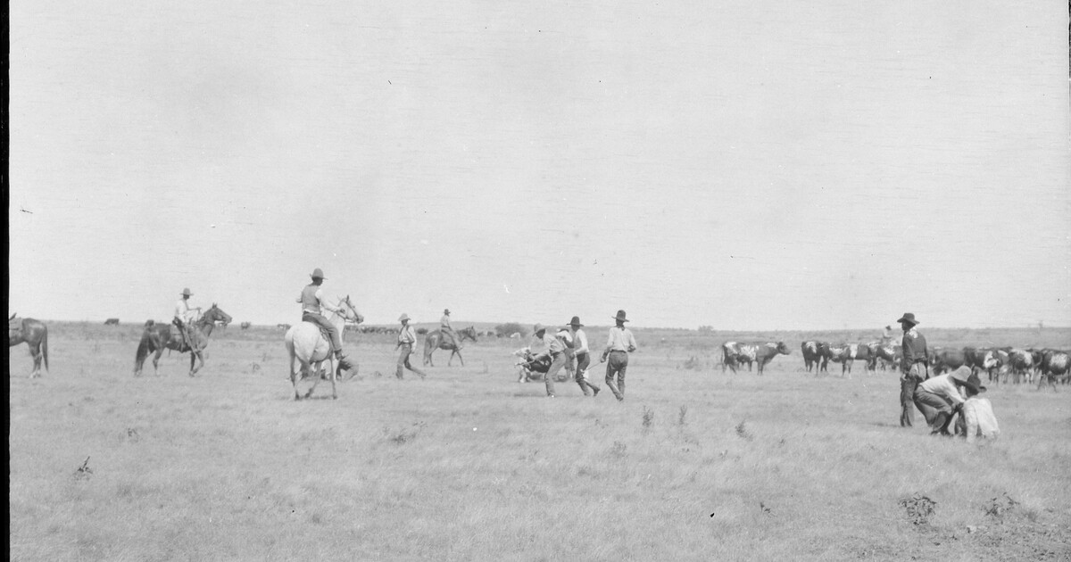 Branding scene. Spur Ranch - SMS Ranch, Texas. | Amon Carter Museum of ...