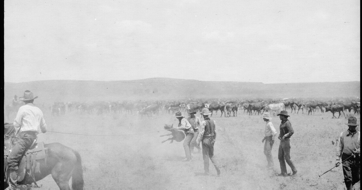 Branding scene. Spur Ranch, Texas. | Amon Carter Museum of American Art