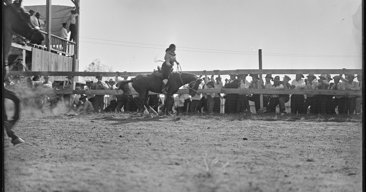 A female rodeo contestant riding a pitching horse at a rodeo somewhere ...