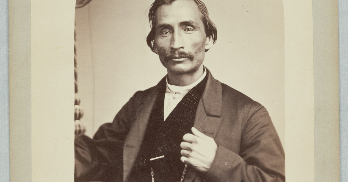 Colonel Lewis Downing | Amon Carter Museum of American Art