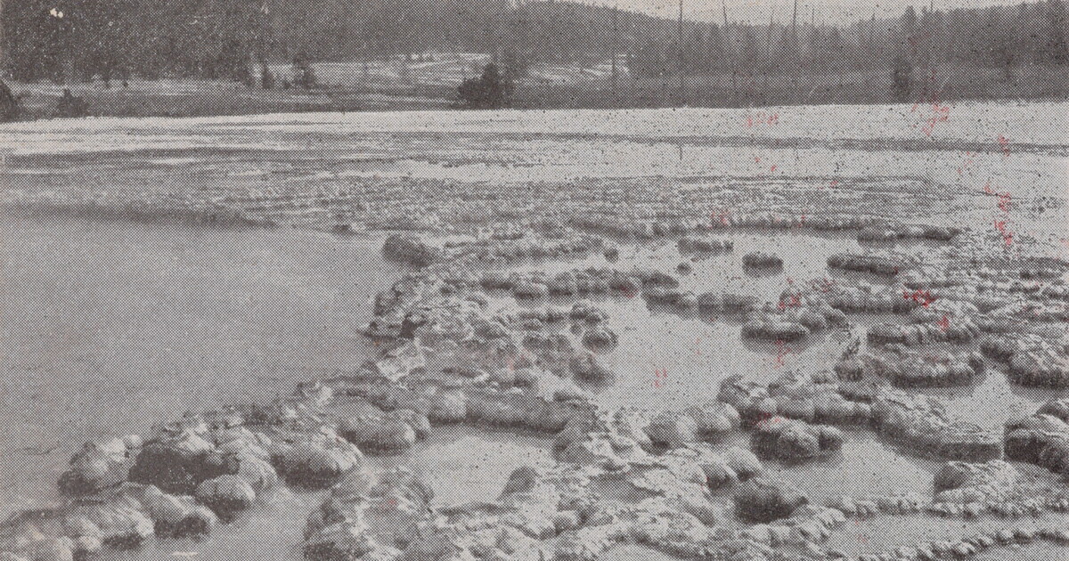Biscuit Basin | Amon Carter Museum of American Art