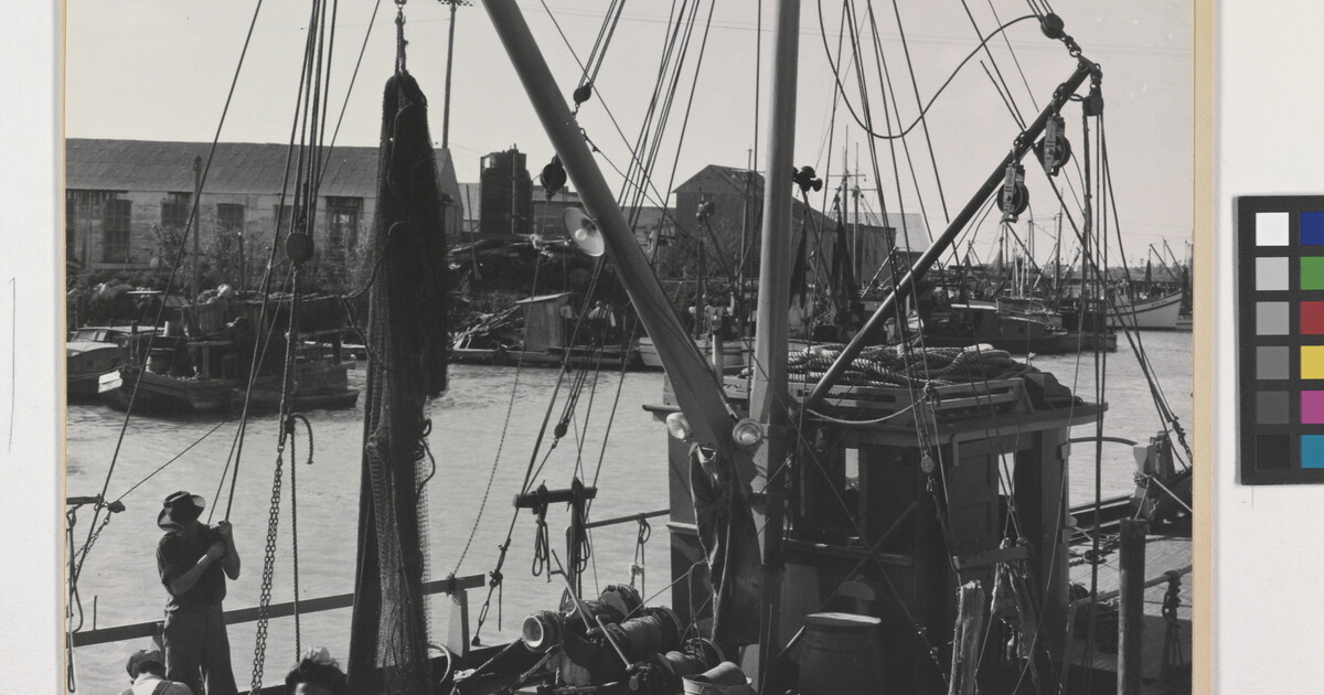 [Shrimp boats at piers, Texas] | Amon Carter Museum of American Art