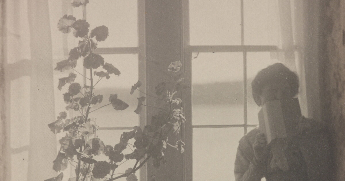 Amy Whittemore at Window - Plant at Left | Amon Carter Museum of ...