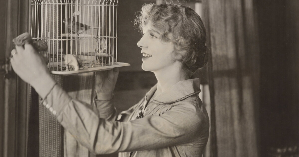 [Agnes Ayres and bird in cage, "Forbidden Fruit"] | Amon Carter Museum ...
