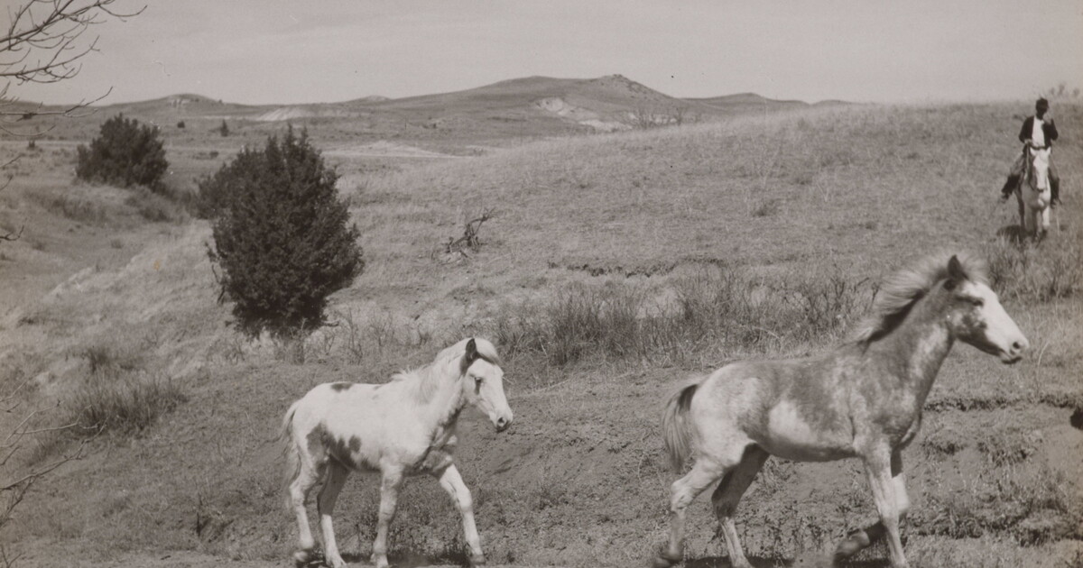 Ranch of Fannie Makes Shines, Very Close to Wounded Knee | Amon Carter ...
