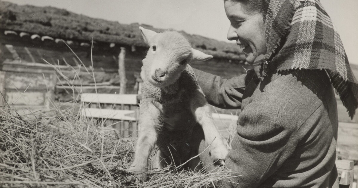 [Helen Post and lamb] | Amon Carter Museum of American Art