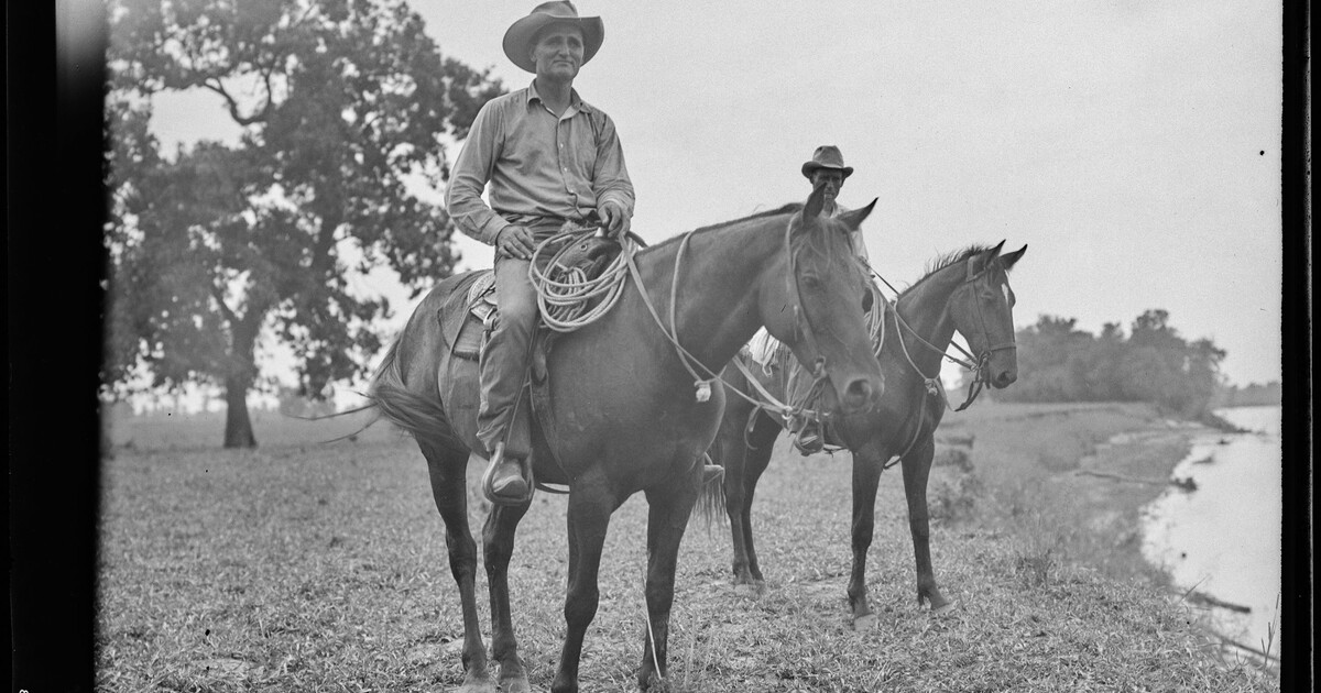 [Wayman Johnson] | Amon Carter Museum of American Art