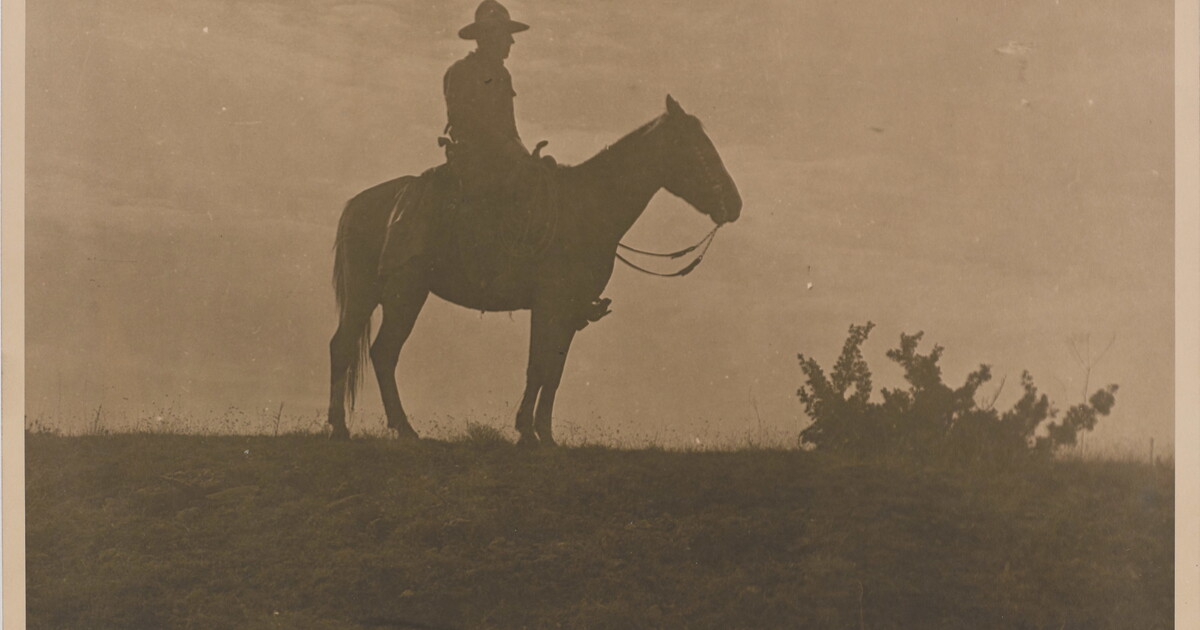 Cowboy Study | Amon Carter Museum of American Art