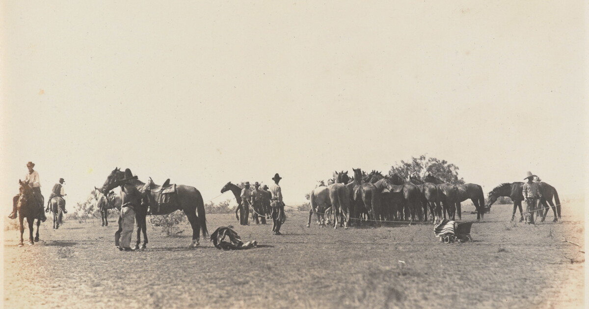 SMS Ranch, Texas | Amon Carter Museum of American Art