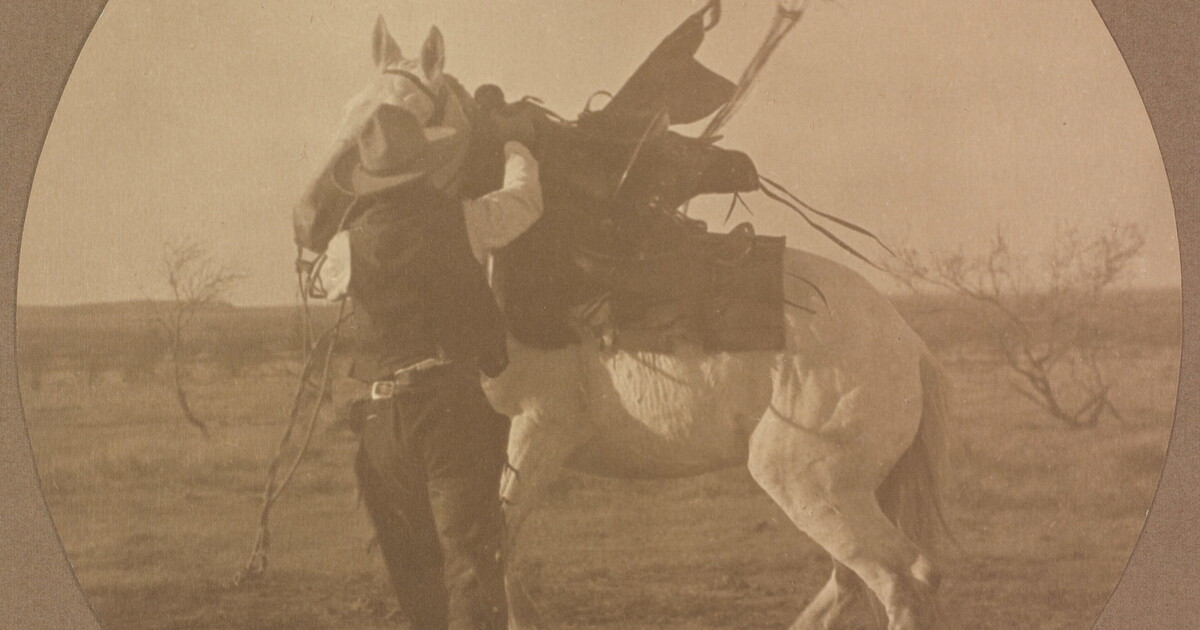 Edwin Sanders having trouble with "Puddin' Foot," a Percheron cross on ...