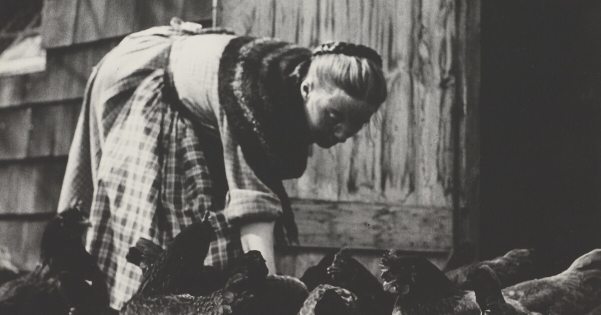 Tasha in Chicken Yard | Amon Carter Museum of American Art