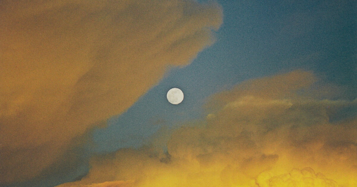 For a More Livable Planet: The Astronomy Library of Eliot Porter | Amon ...