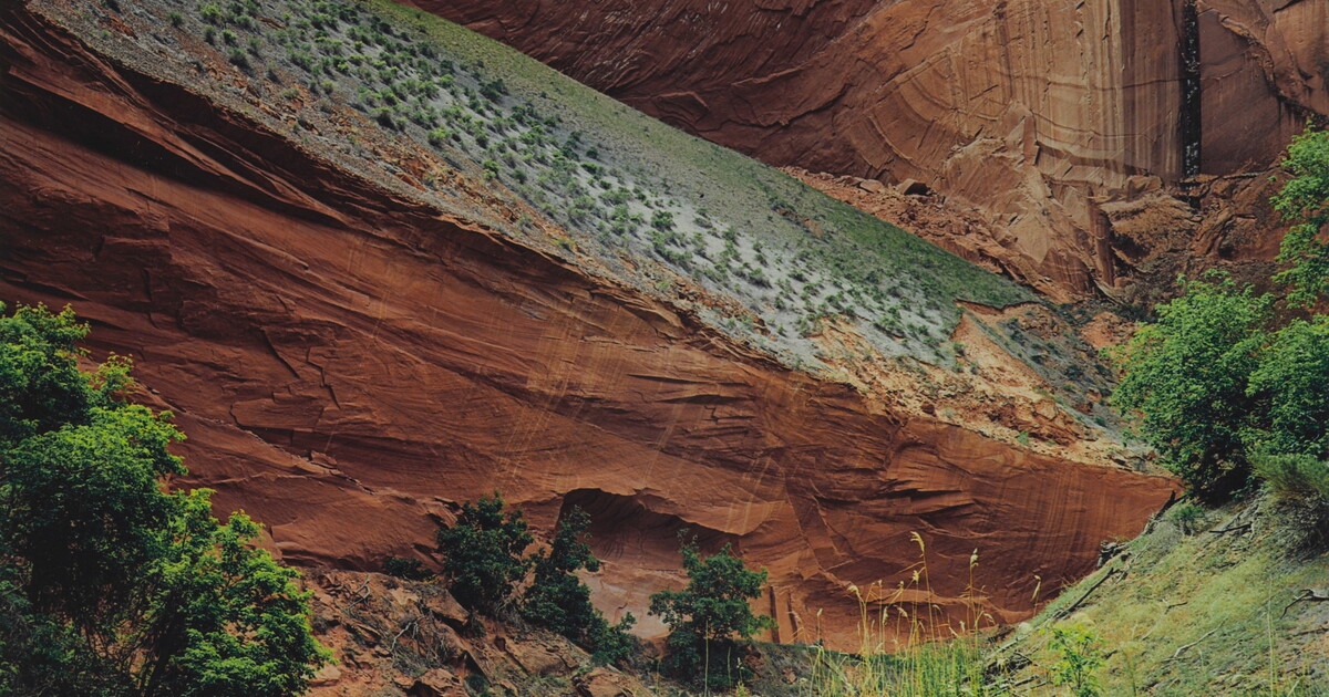 Canyon Wall with Vegetation, Davis Gulch, Escalante River, Lake Powell ...