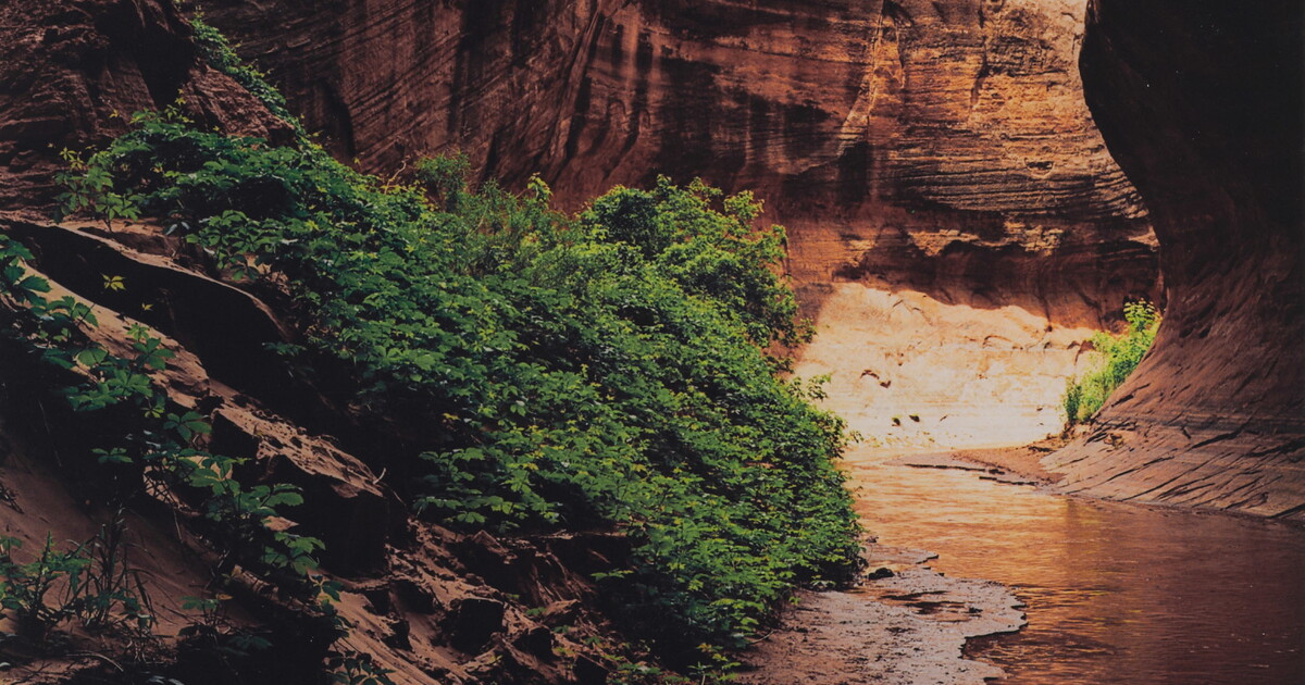 Downstream, Davis Gulch, Escalante River, Lake Powell, Utah, May 12 ...