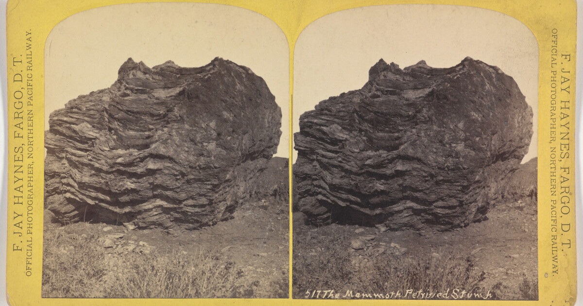 The Mammoth Petrified Stump | Amon Carter Museum of American Art