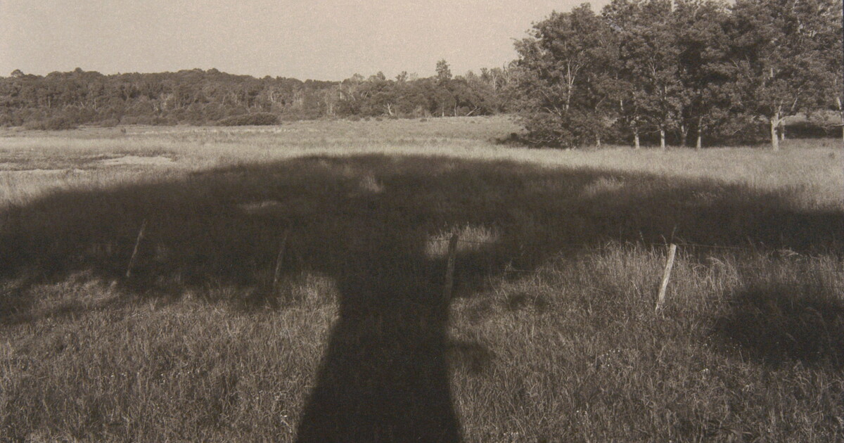 Robert Langham III | Amon Carter Museum of American Art