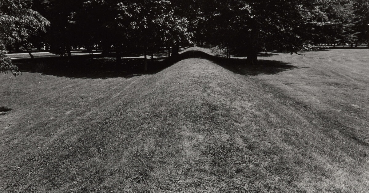 [Hopewell Mounds, mound running between trees] | Amon Carter Museum of ...