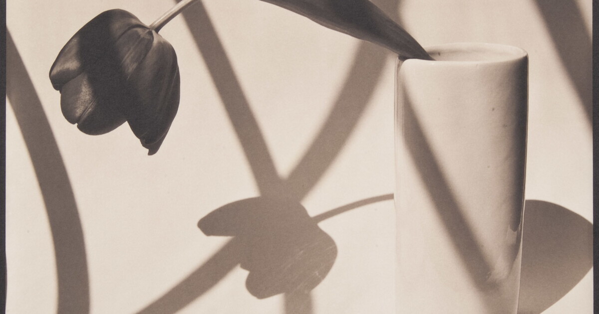 James Pitts | Amon Carter Museum of American Art