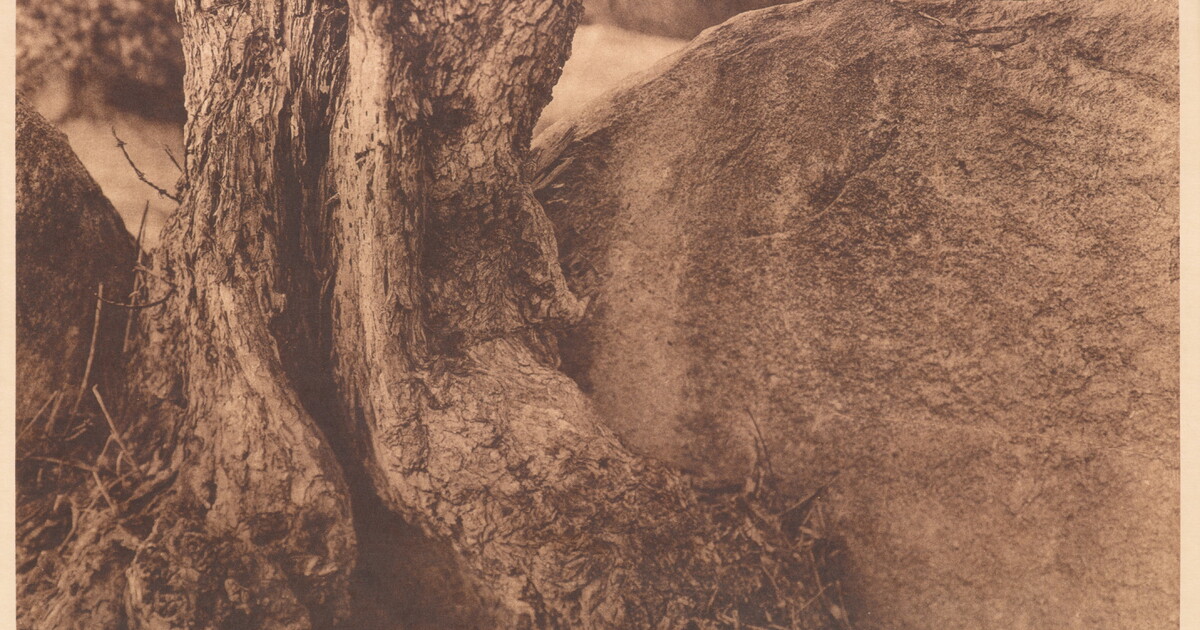 Art as Old as the Tree - Southern Yokuts | Amon Carter Museum of ...