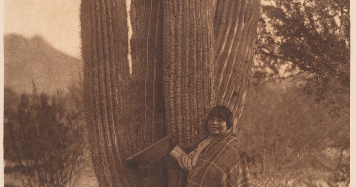 The Pima Woman | Amon Carter Museum of American Art