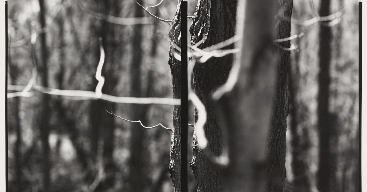Coloma to Covert (diptych) | Amon Carter Museum of American Art