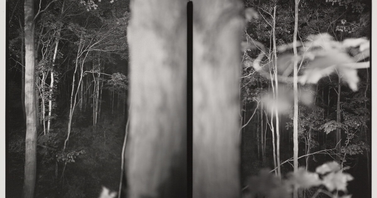 Coloma to Covert (diptych) | Amon Carter Museum of American Art