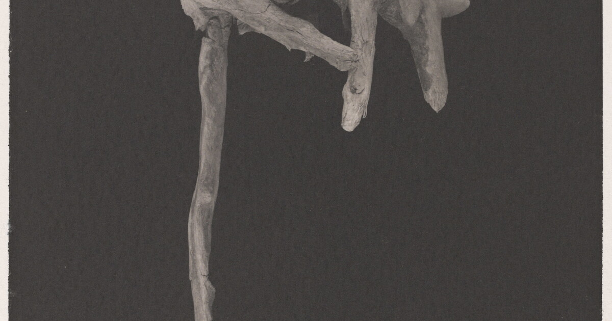 Coloma to Covert: Sticks | Amon Carter Museum of American Art