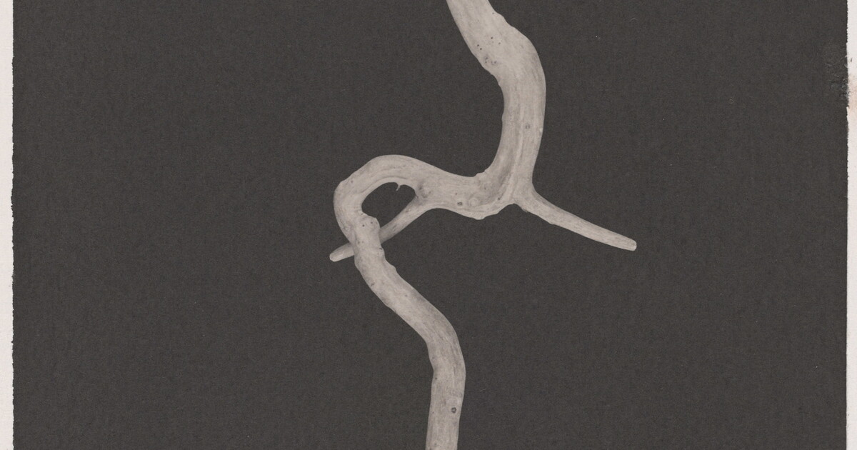 Coloma to Covert: Sticks | Amon Carter Museum of American Art