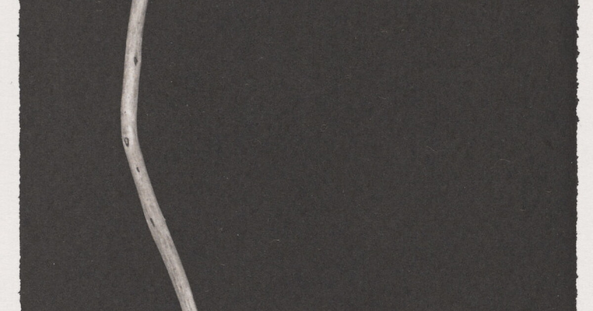 Coloma to Covert: Sticks | Amon Carter Museum of American Art