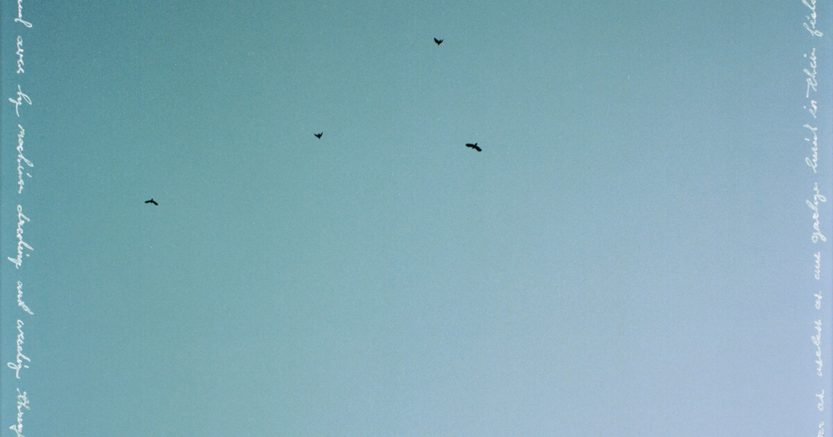 The clouds are too dull this time of year. It's late June and I'm full ...