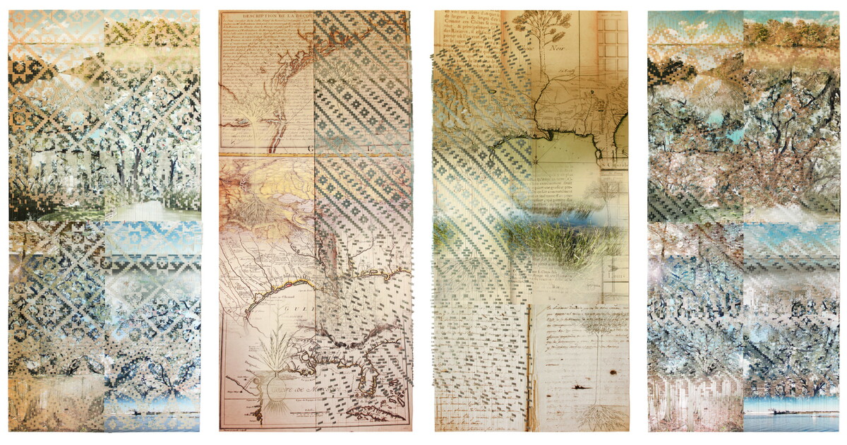 Bayous Meander, Trees Remember, Water Heals, Roots Meander | Amon ...