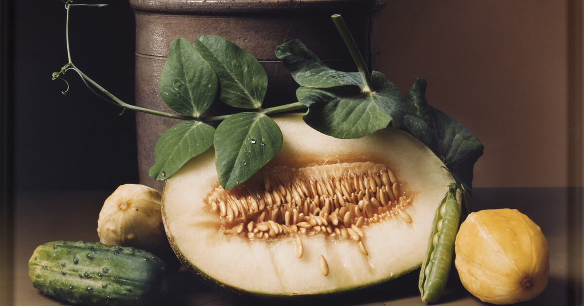 Early American, Melon and Peas | Amon Carter Museum of American Art